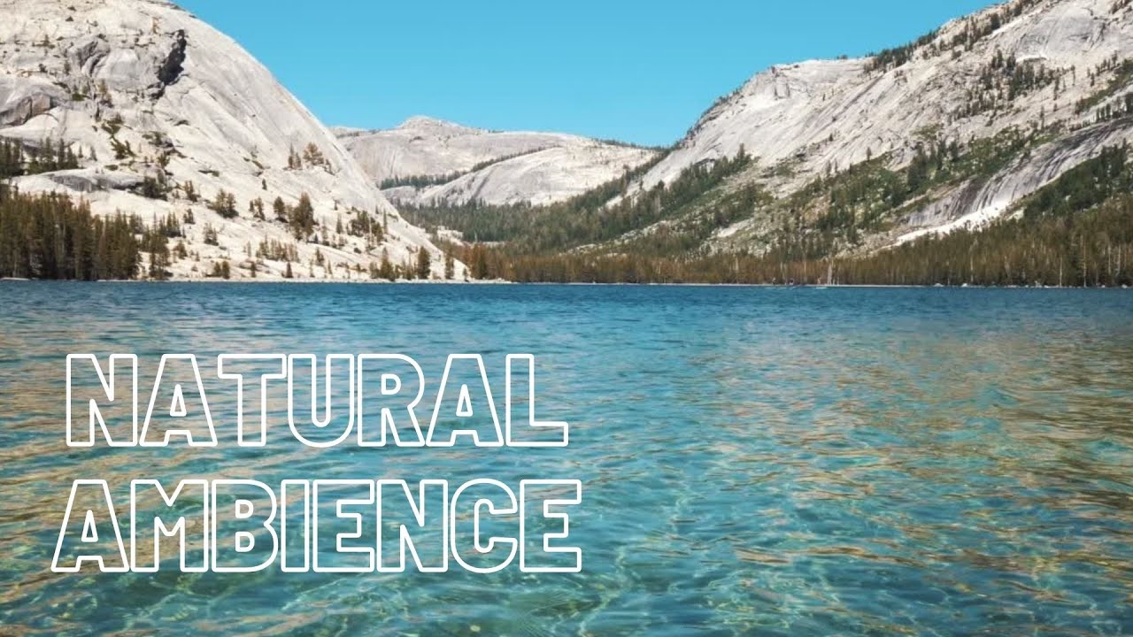 Natural Ambience | Lake | Shore Sound | Relaxing Winter Background ...