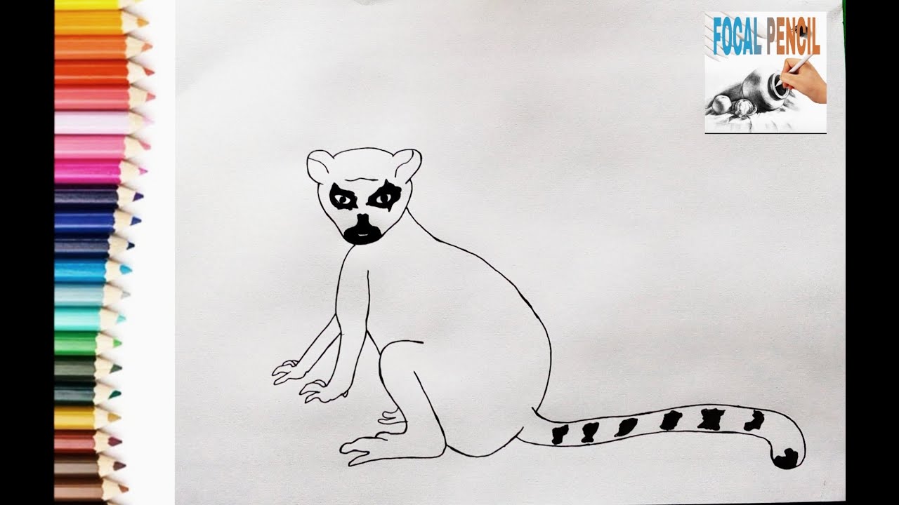 How To Draw A Ring-tailed Lemur, step by step Drawing tutorial. - YouTube