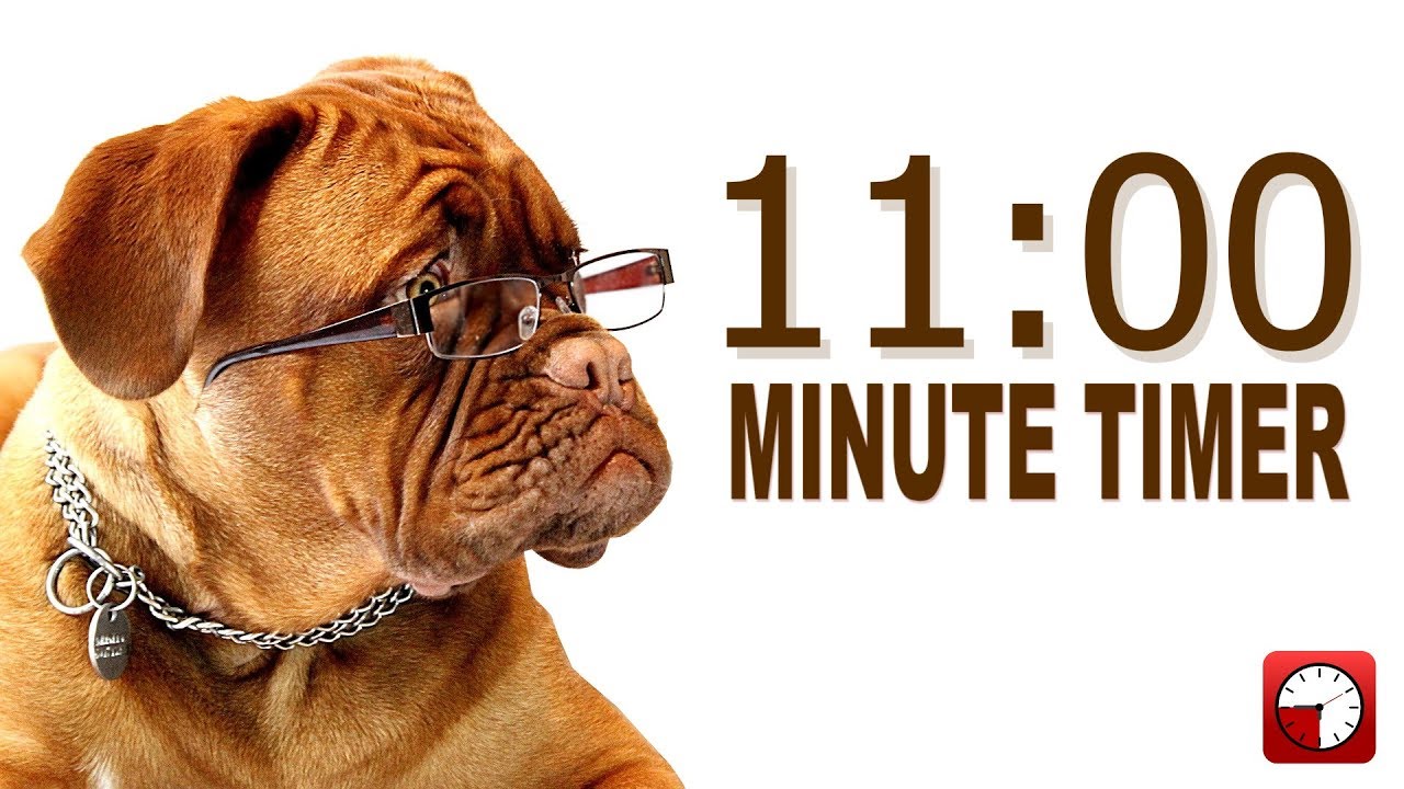 11 Minute Timer for PowerPoint and School - Alarm Sounds with Dog Bark ...