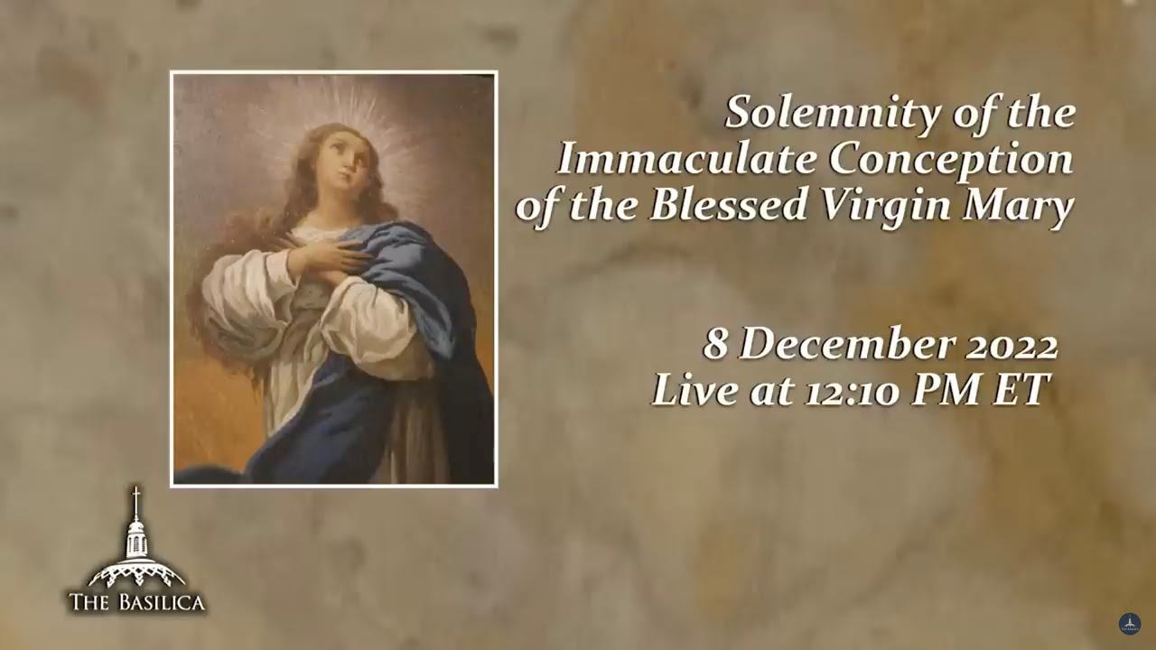 Solemnity of the Immaculate Conception – December 8, 2022 - YouTube