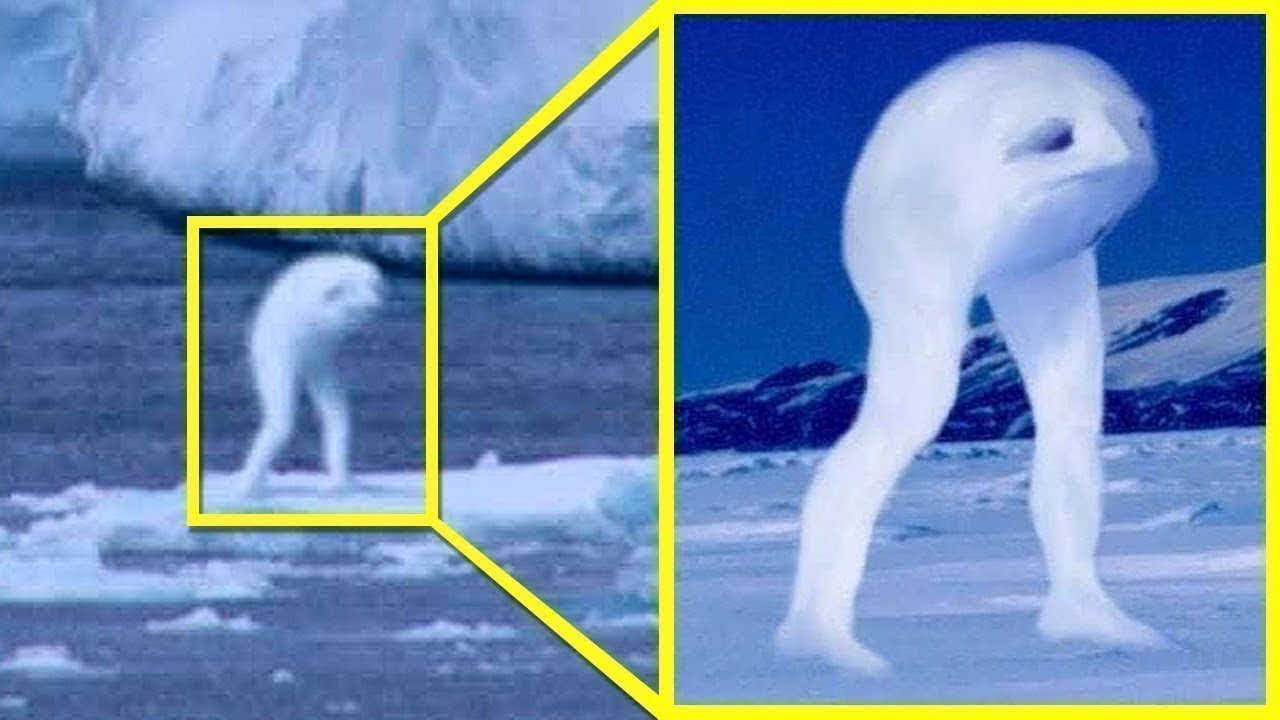 Unsolved Mysteries That Cannot Be Explained - YouTube