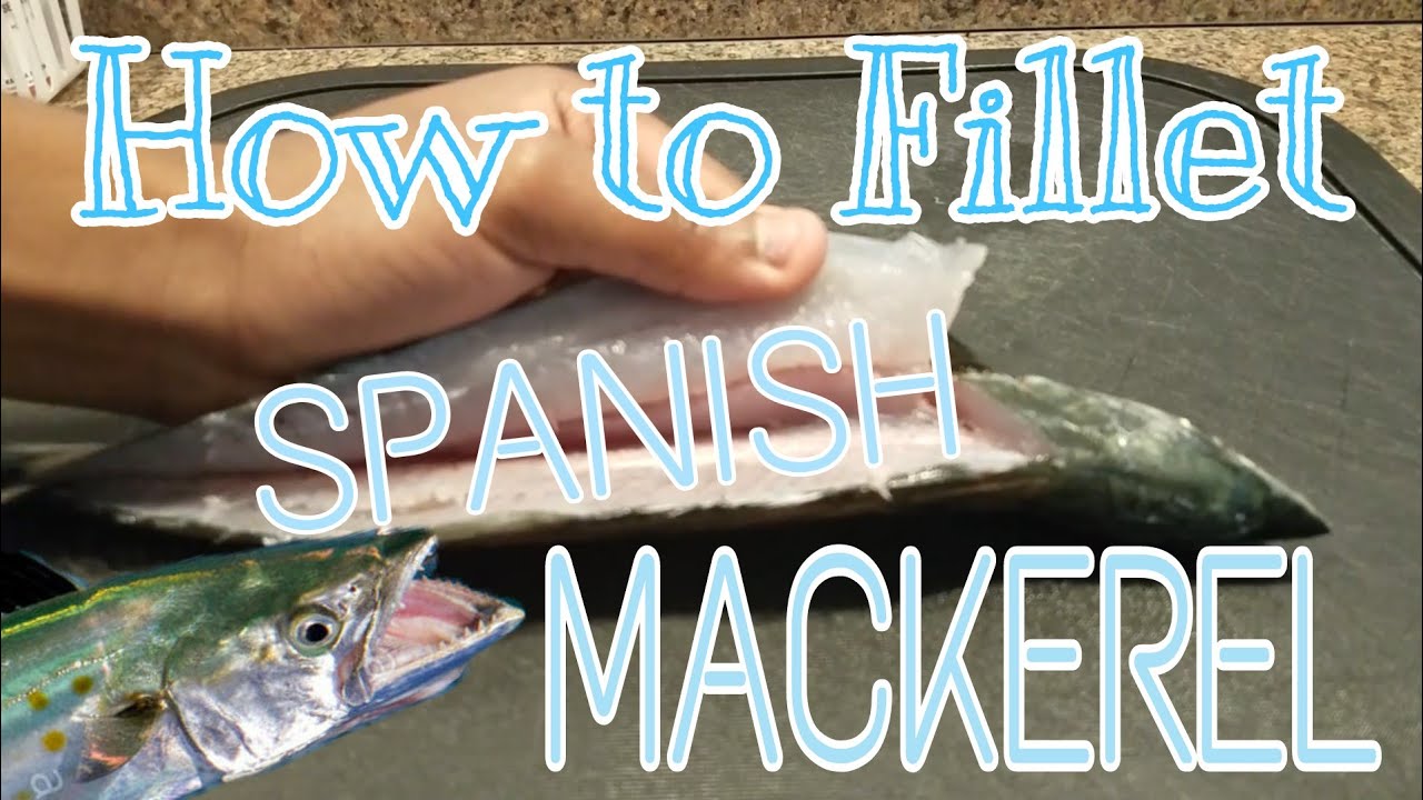 How to Clean & Fillet: Spanish Mackerel - YouTube