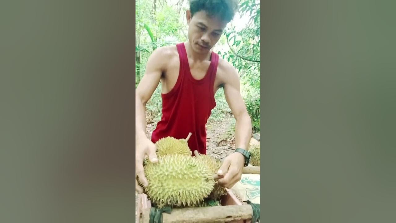 မနက်ဖြန် သာမည မှာဒူးရင်းသီးသွားပို့မယ် မှာယူချင်ရင် ဖုန်းကြိုဆက်ထား ဖုန်း 09753754710 Youtube