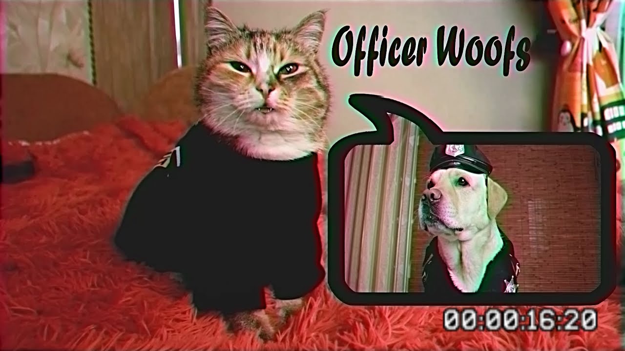 Rap Cat Feat. Officer Gaws - I'm Bad Ass - YouTube