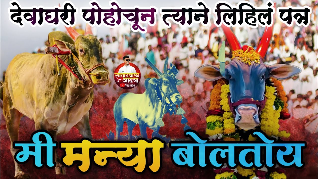 देवाघरी पोहचून नक्की काय बोलला मन्या | Bailgada sharyat | Satarwala ...