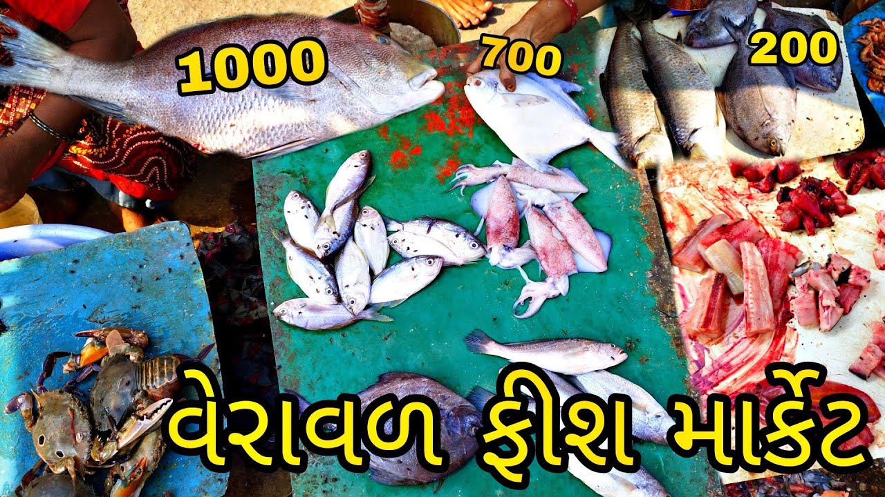 વેરાવળ ફીશ માર્કેટ || veraval fish market || full public... #veraval # ...