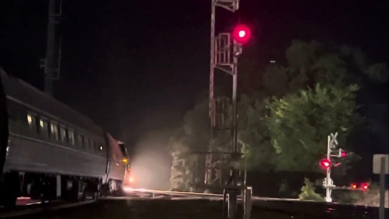 Amtrak silver star stops at Selma station Then AMTK auto train blasts through with hornshow ...