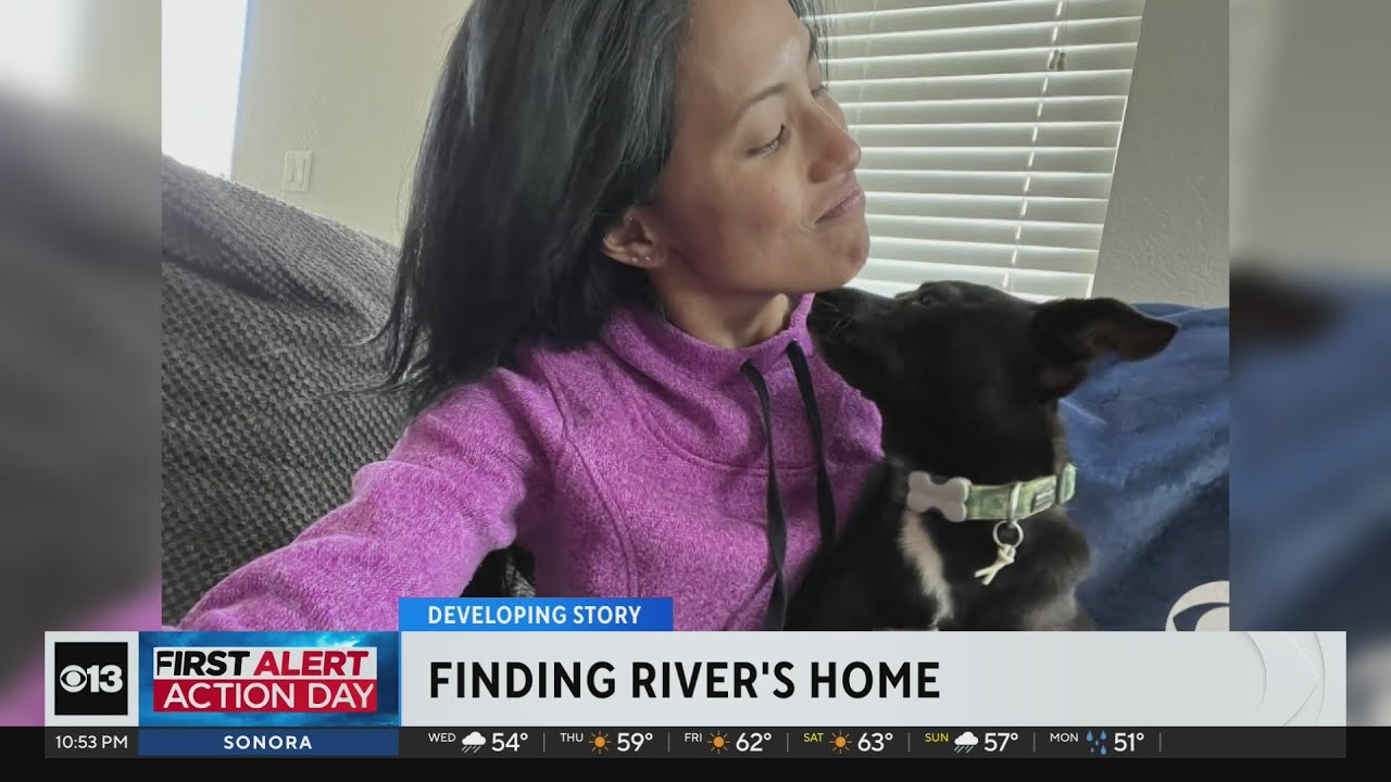 Update on lost pup found by CBS13 - YouTube