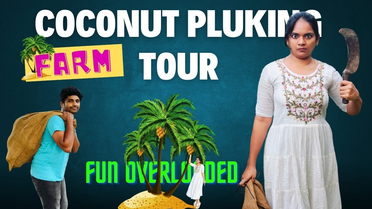 Tender coconut plucking FARM tour | FUN OVERLOADED | Rohini stories # ...