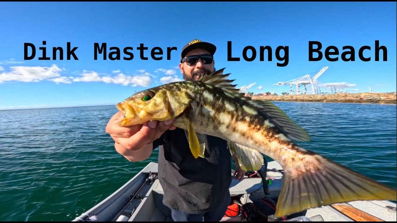 Catching Dinks in Long Beach - YouTube