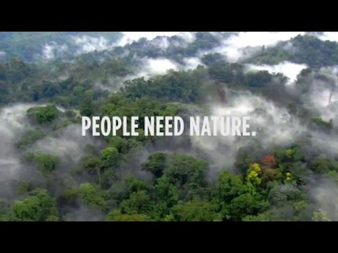 Doğa Konuşuyor – Yağmur Ormanları (Kevin Spacey)