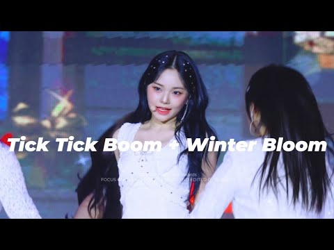 [4K] 231230 APAN Star Awards ‘Tick Tick Boom + Winter Bloom’ CLASS:y BOEUN fancam 클라씨 보은 직캠 ...