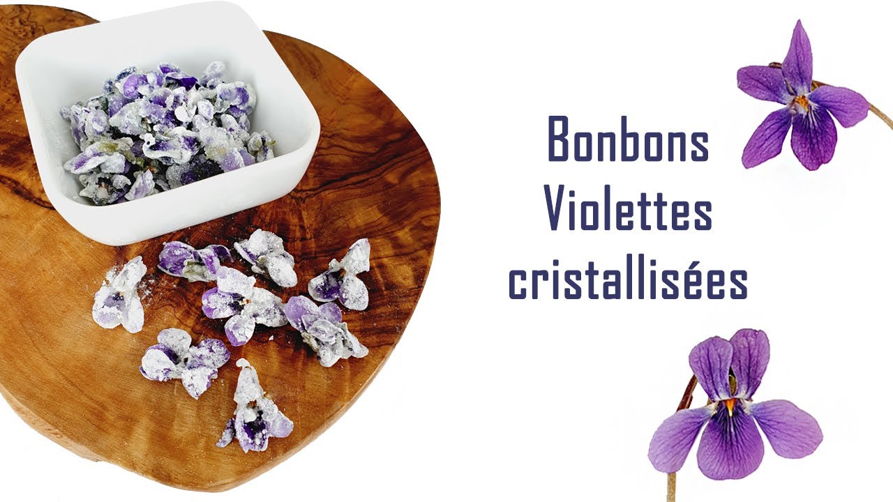 Recette violettes cristallisées bonbons - violettes au sucre - YouTube