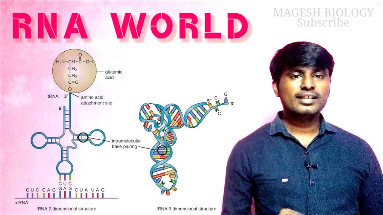 What is RNA World Hypothesis? | Molecular Genetics | Class 12 | Neet ...