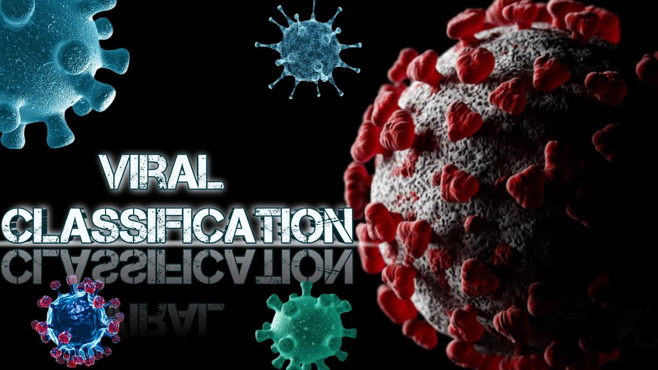 Viral classification (families of virus) - YouTube