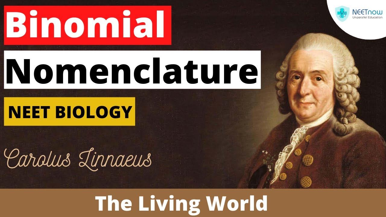 Unlocking Binomial Nomenclature: Rules for Naming Organisms | Class 11 ...