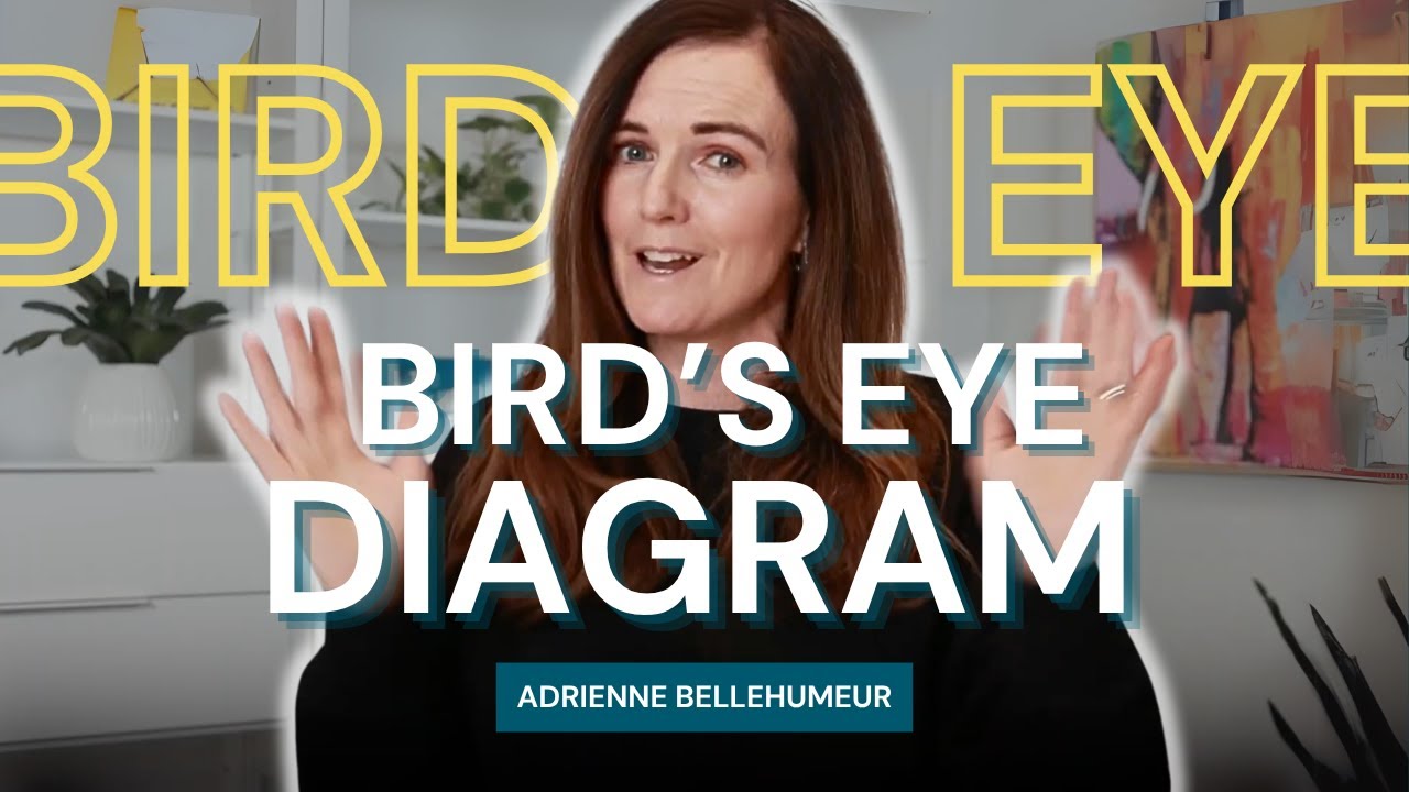 Bird's Eye Diagrams: Transforming Internal Control Documentation - YouTube