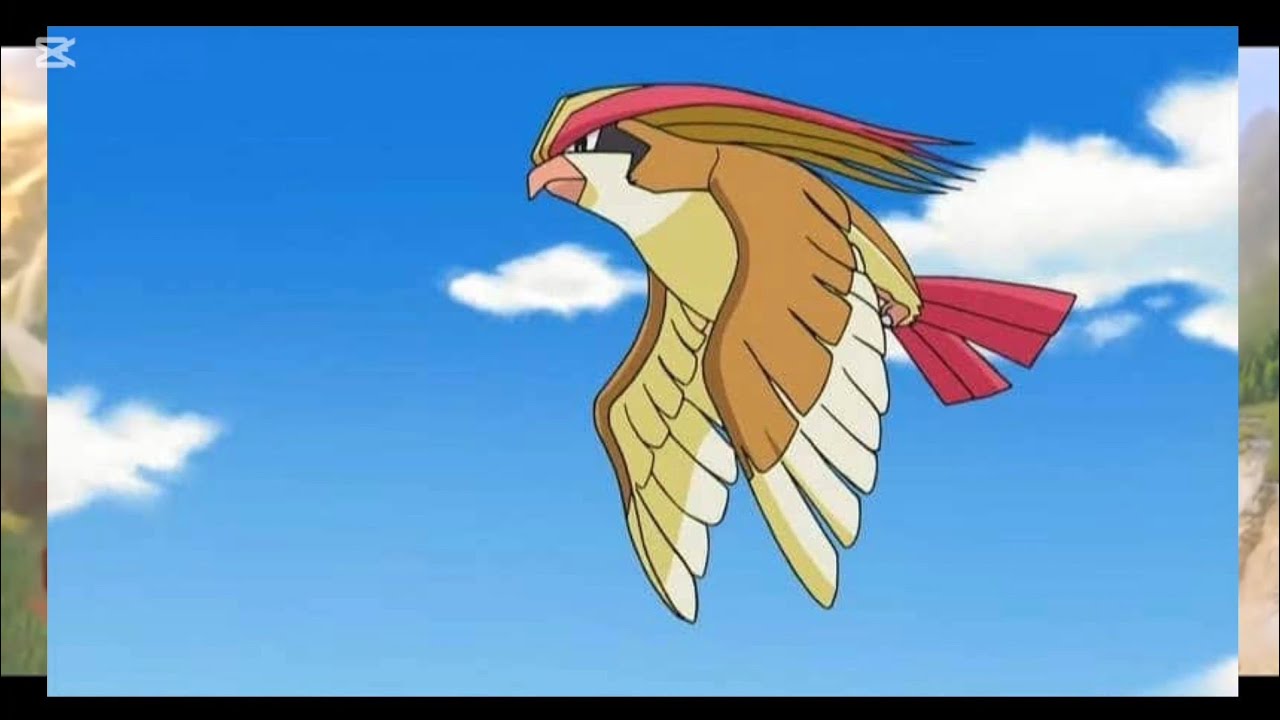 Cartoon Age Collision Course Part 10 - Flying Creatures - YouTube