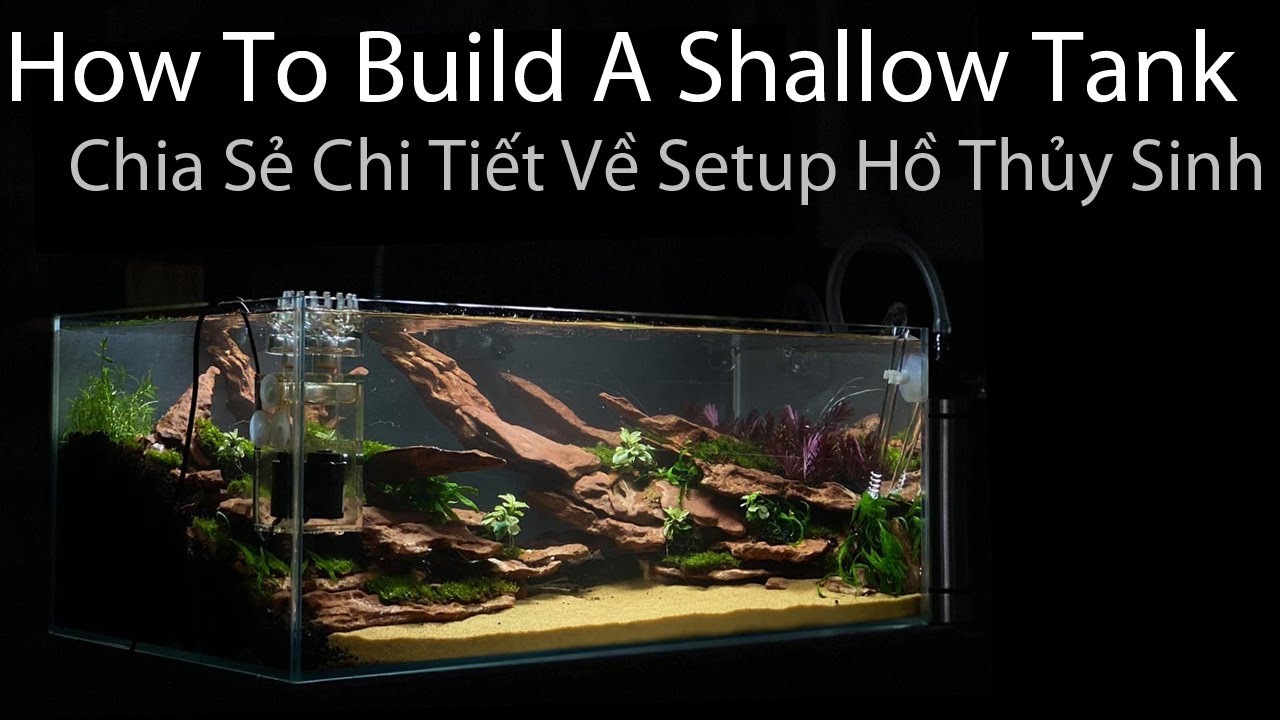How To Build A Shallow Tank-Chia Sẻ Về Cách Hồ Thủy Sinh - YouTube