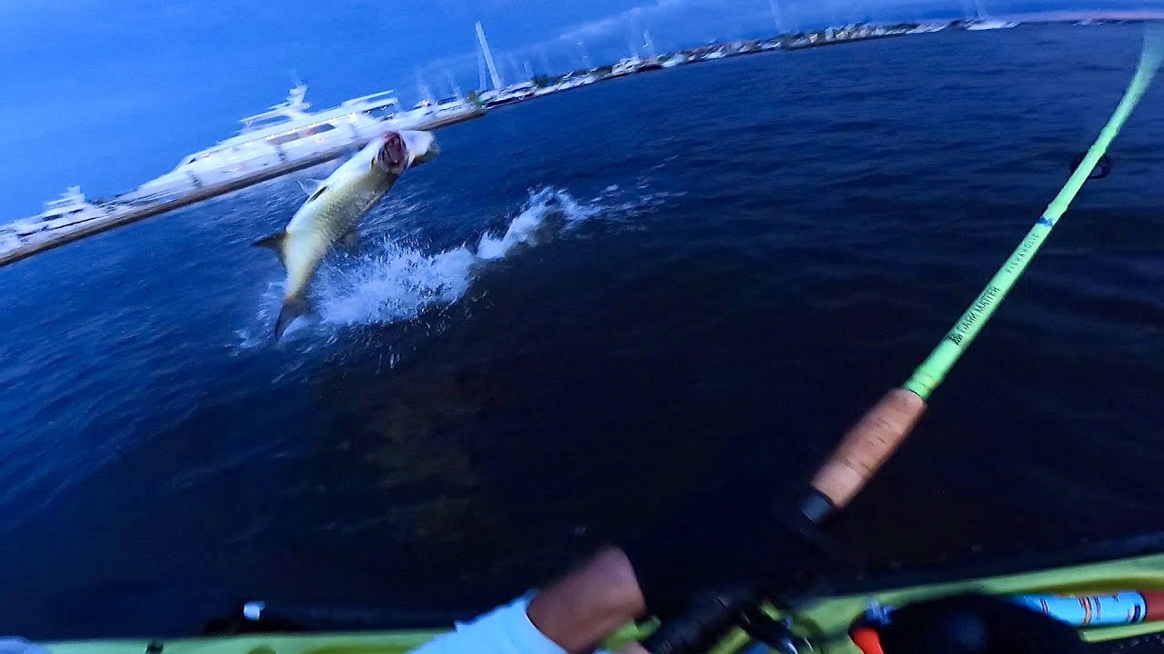 This Fish Almost Jumped In The Kayak!!! Inshore Tidal River Florida ...