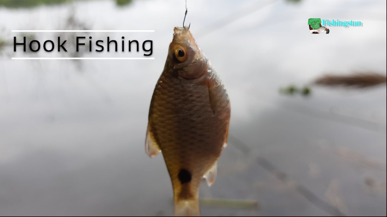 Traditional hook fishing | Puti mach dhora | Episode 05 | fishingstan ...