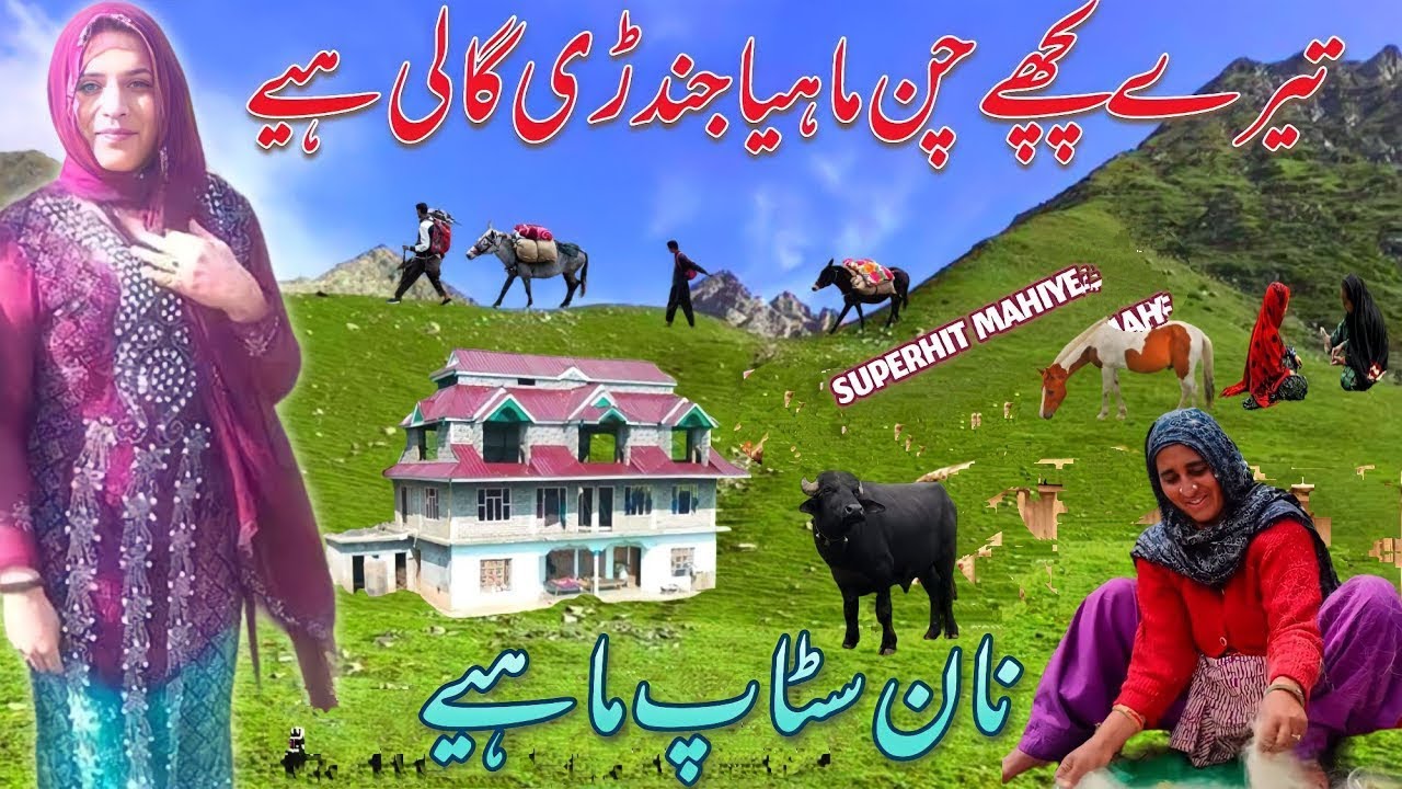 rona umraan da pa lya hai pahari song new pahari song 2025 gojri song ...