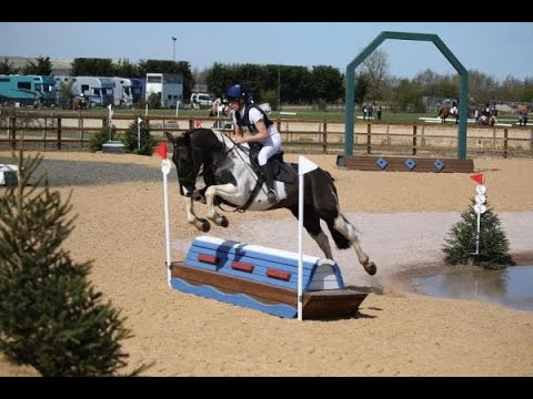Roo - Striking Riding Club Allrounder - YouTube