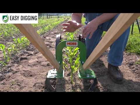 High Arch Wheel Hoe - Hilling Corn