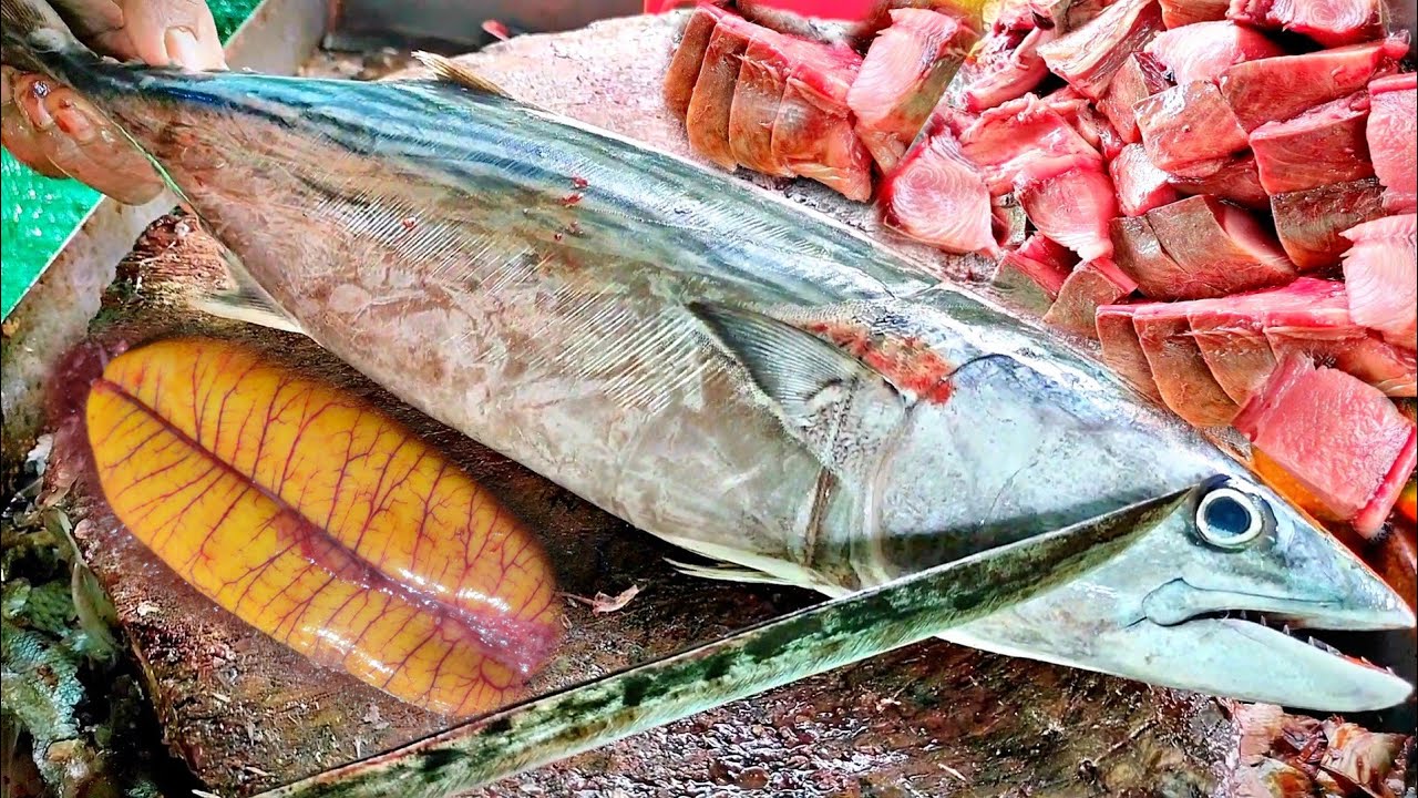 Amazing Atlantic bonito Fish cutting skills Expert fish cutter live in ...