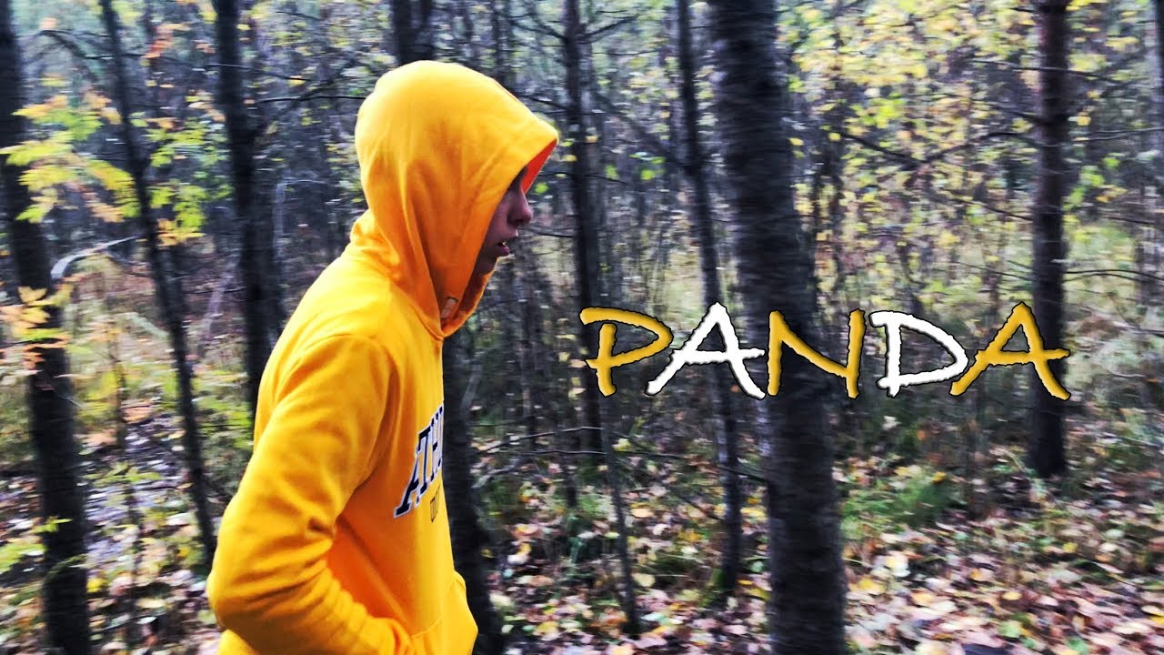 CYGO - Panda E / COVER / КЛИП - YouTube