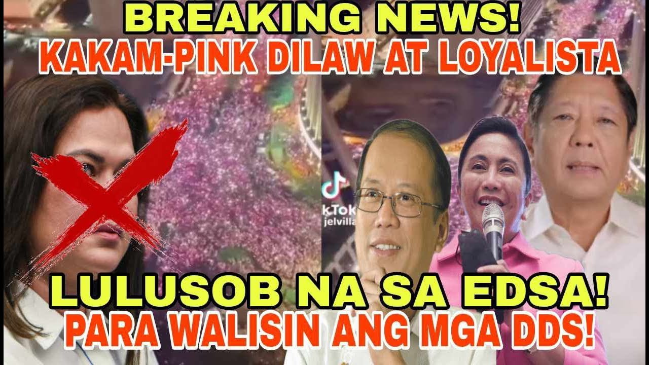 KAKAM-PINK DILAWAN PULA LOYALISTA LUSOB NA SA EDSA!!! - YouTube