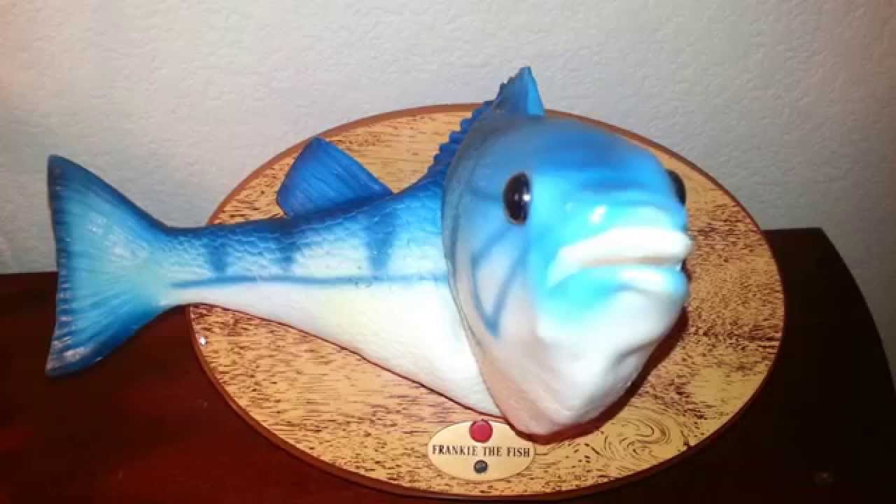 Frankie the Fish - YouTube