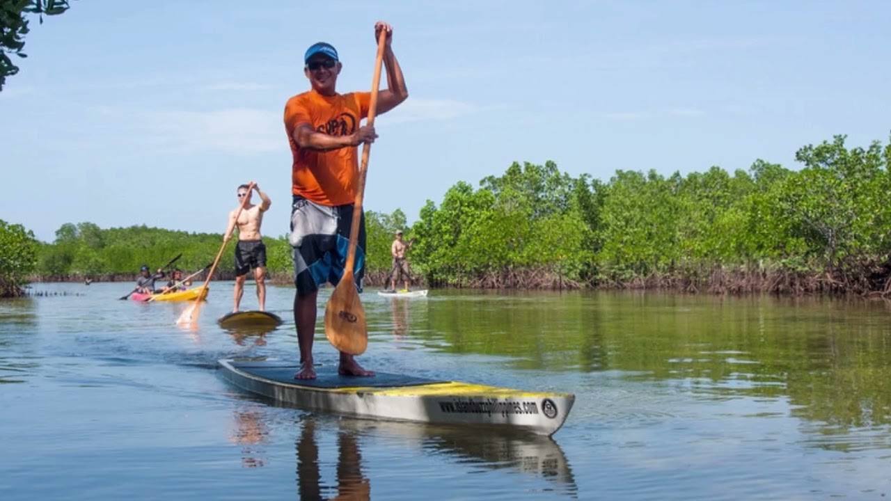 BANACON MANGROVE FOREST The Largest Manmade Mangroove Forest in Asia ...