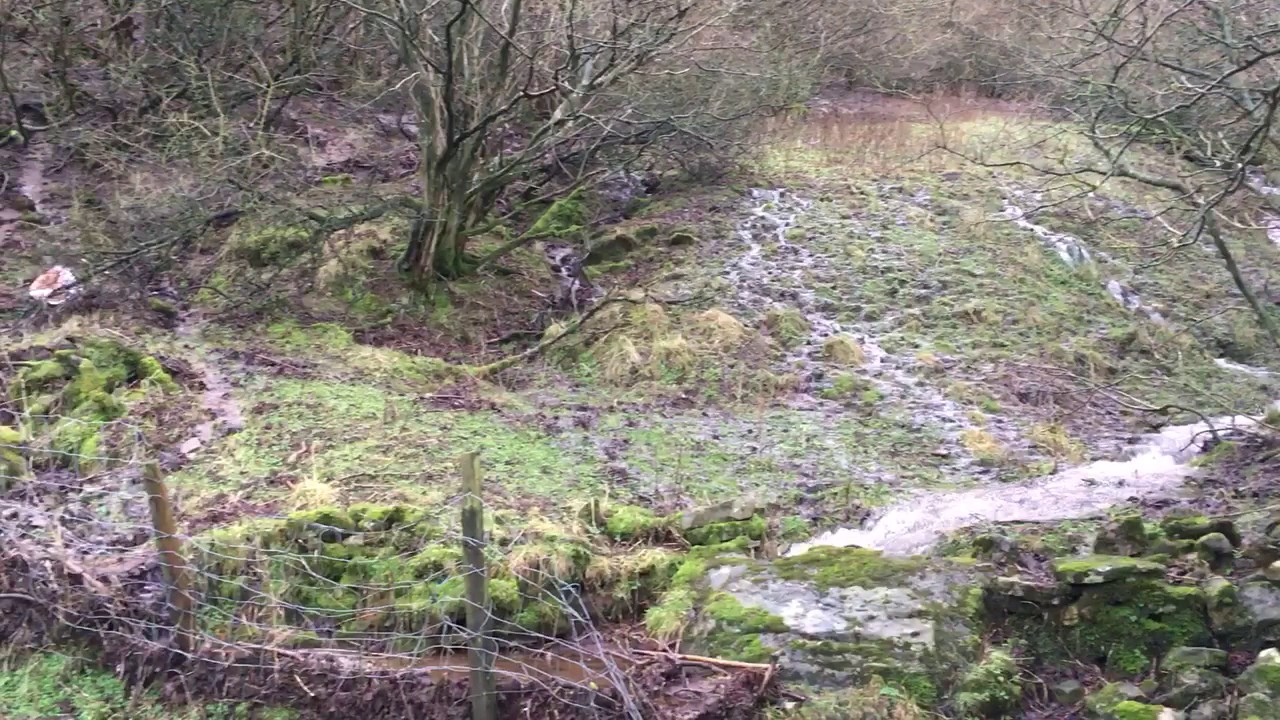 Overland flow or surface run off - YouTube