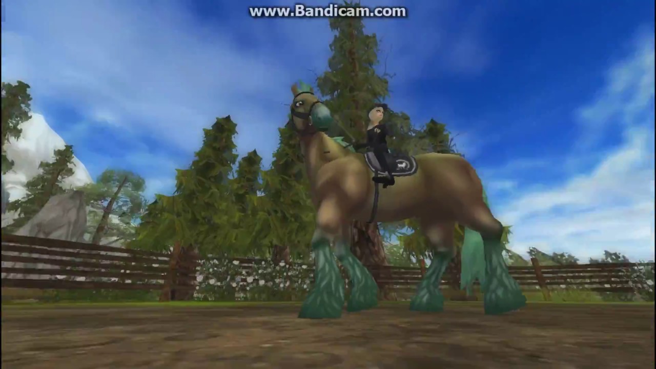 Horse Introduction-Jorvik Wild Pictures (included) - YouTube