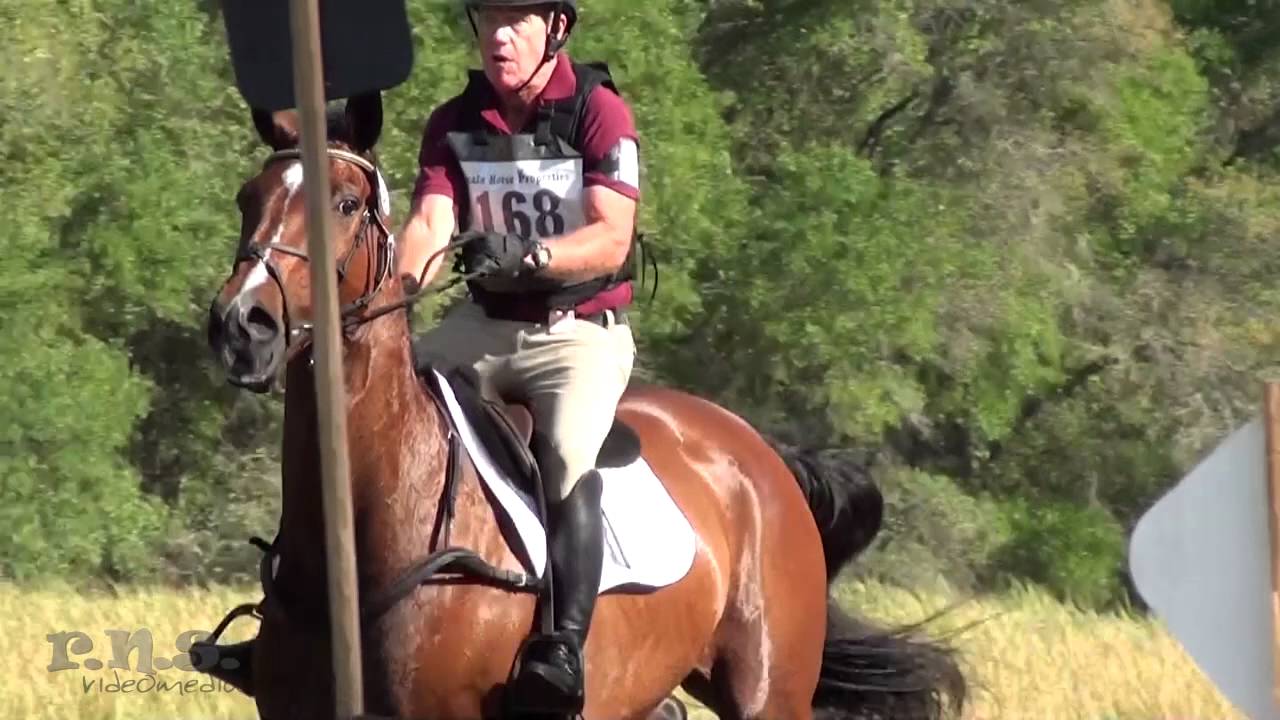 William Hoos Donnerstorm II Ocala International 2016 - YouTube