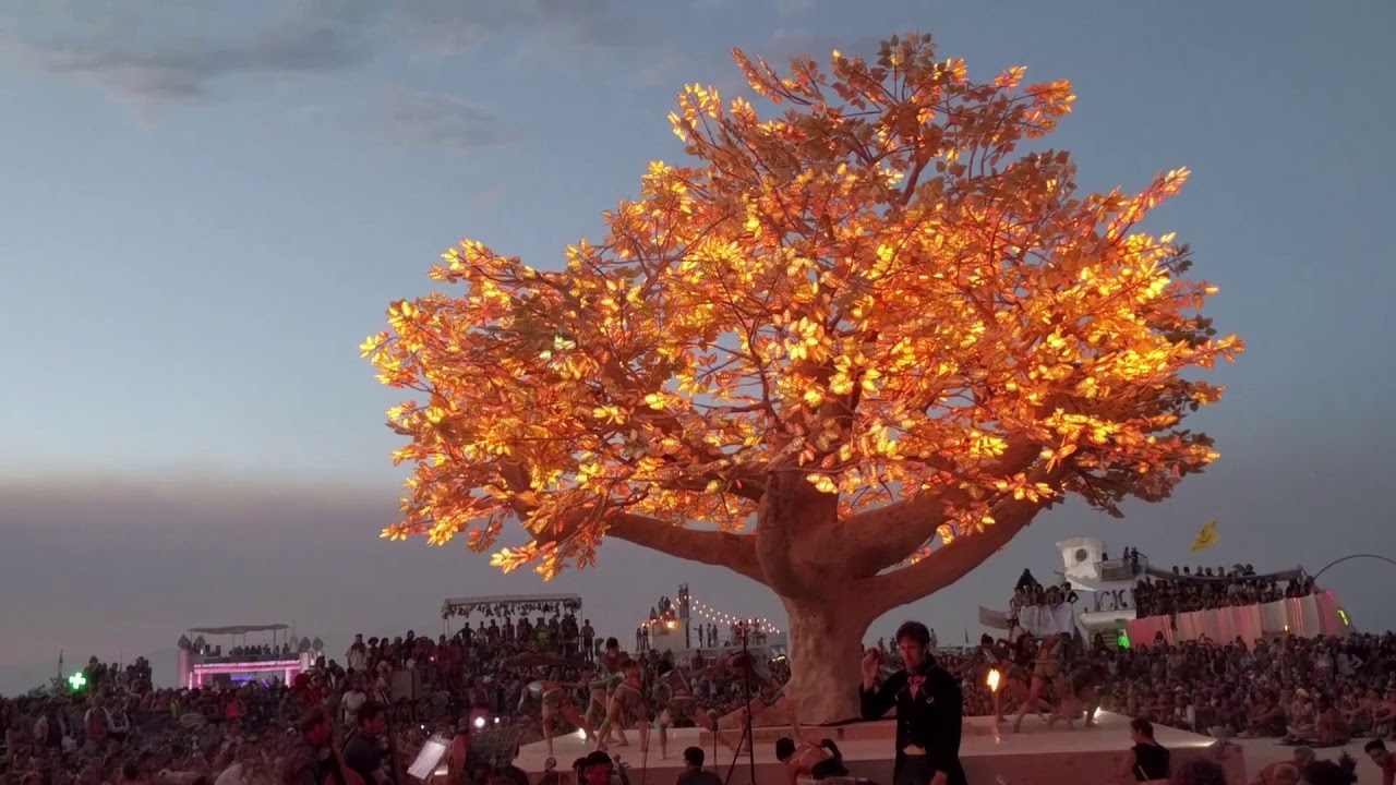 Tree of Ténéré, Colors and the Rite of Spring Burning Man 2017 - YouTube