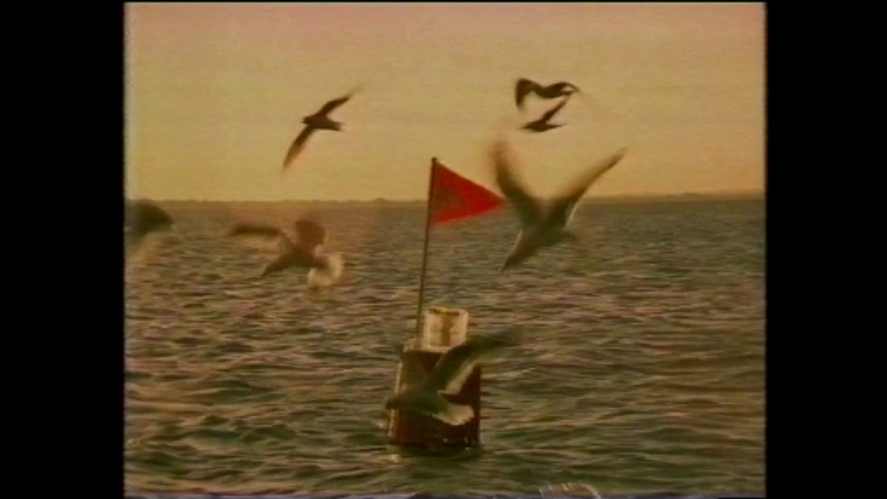 Big M TV Commercial 1980 - Australia - YouTube