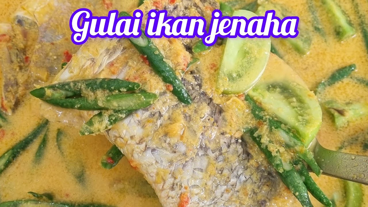 Gulai ikan jenaha - YouTube