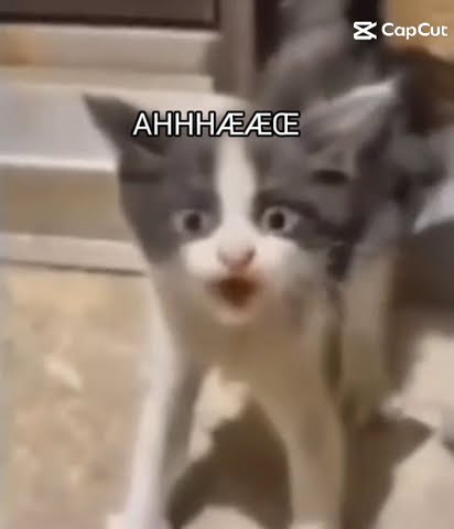AHHHHH #meme #funny - YouTube