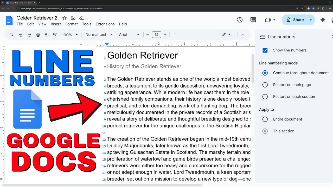 How to Add Line Numbers in Google Docs - YouTube