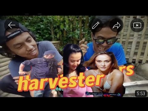 THE LANSONES HARVESTERS,BOY OPAW. . - YouTube