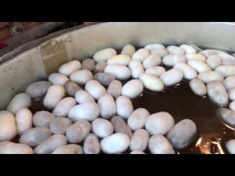 The story of silk and the boiling cocoon. - YouTube
