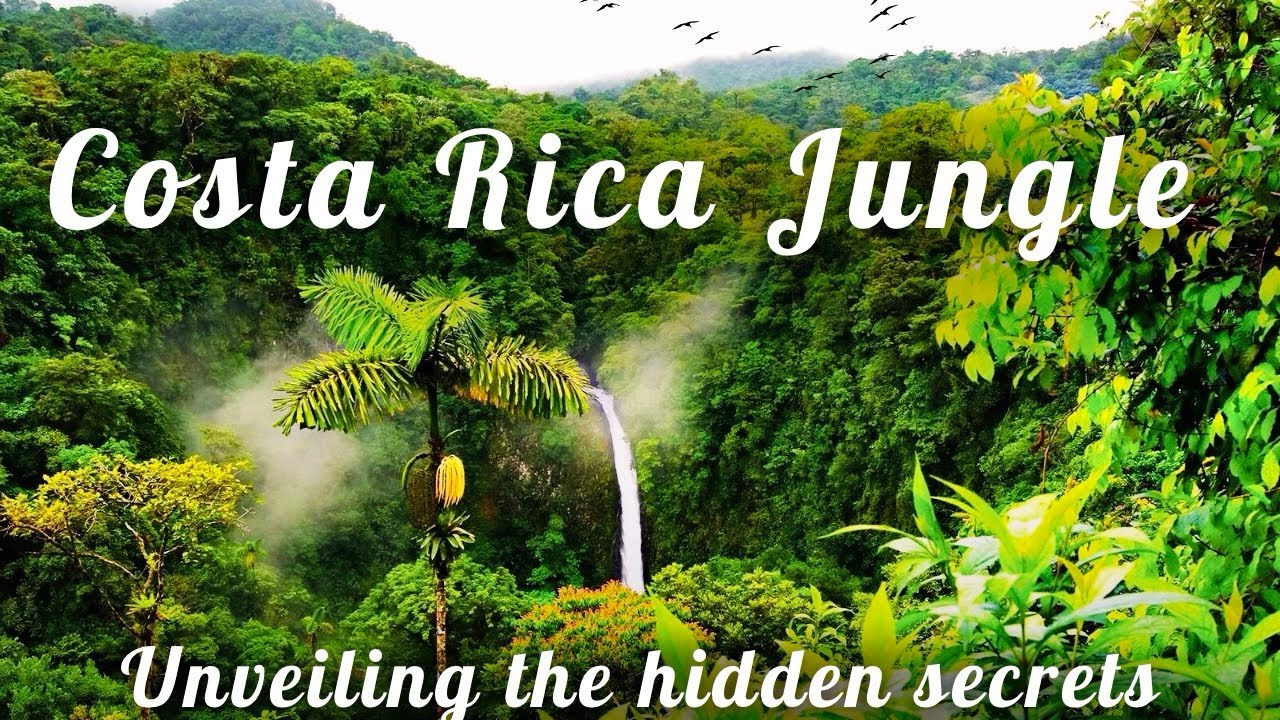 Unveiling the secrets hidden in the lush jungles of Costa Rica - YouTube