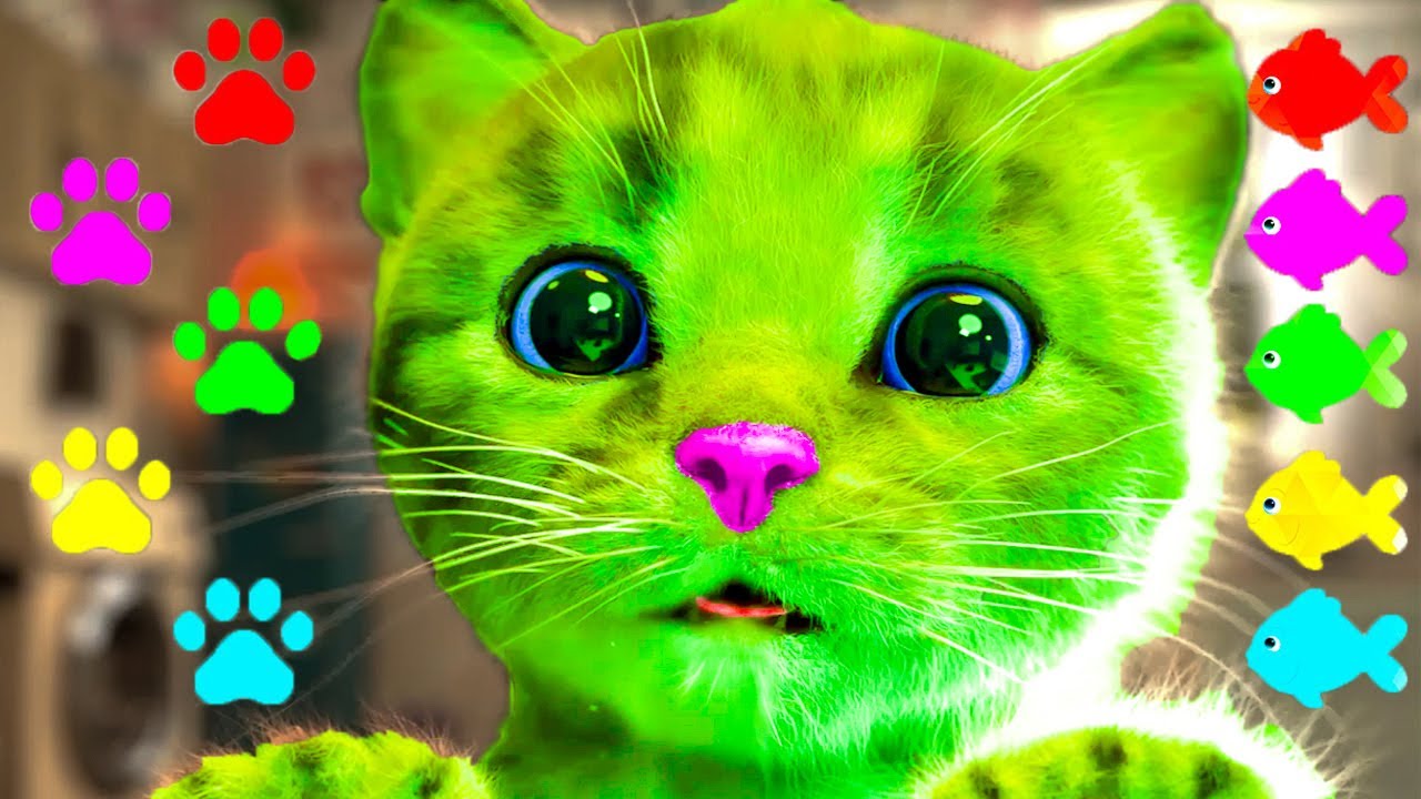 LITTLE KITTEN ADVENTURE FUNNY PET - ANIMATED CAT ON AN ADVENTUROUS ...