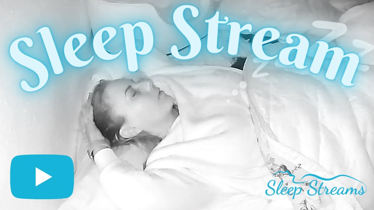 live ASMR Sleep/Snore Stream with Puppies - YouTube