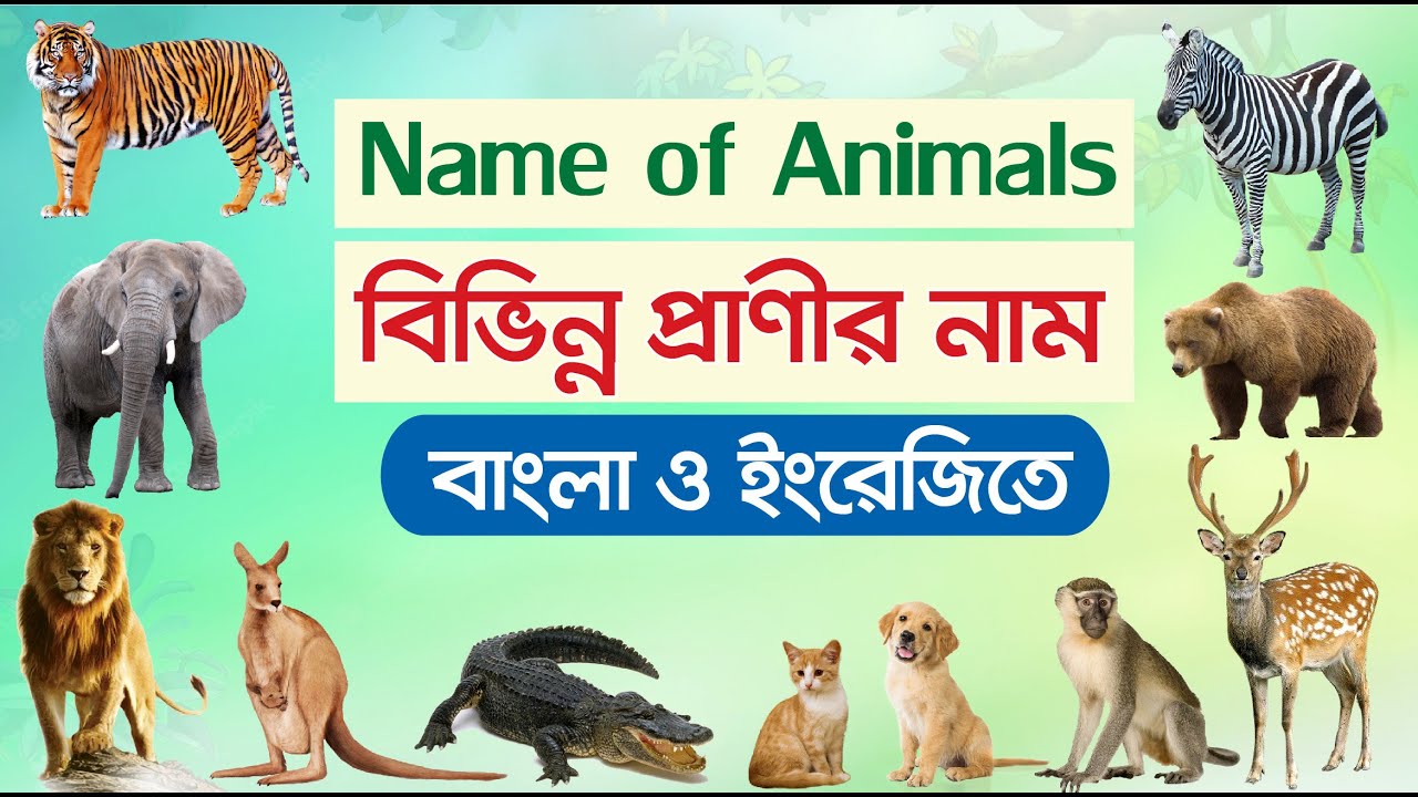 Animals Name In Bengali To English Animals Name In Bengali To English