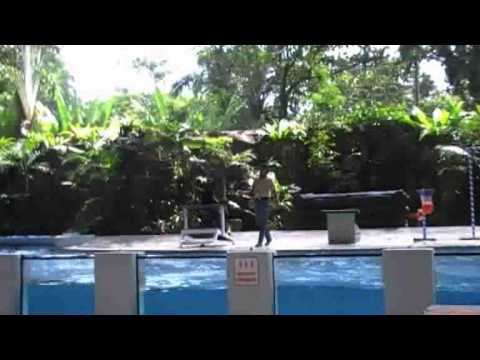 Cheb Ali's Family Trip to Zoo Negara, Malaysia