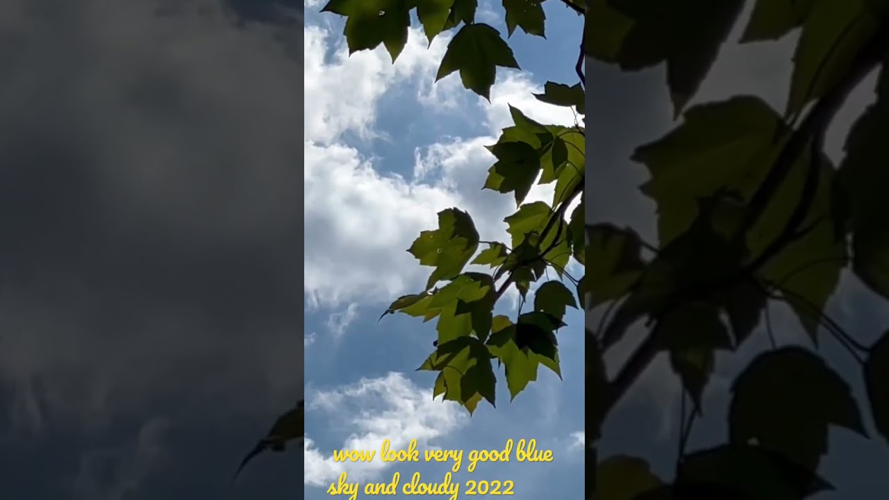 September 4, 2022 - YouTube