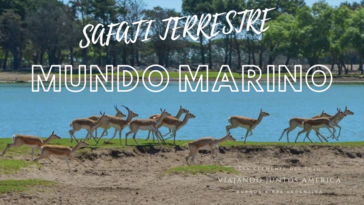 SAFARI TERRESTRE RECORRIDO COMPLETO MUNDO MARINO - YouTube